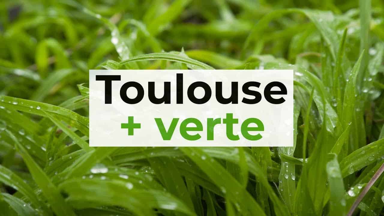 Toulouse : Maria Combes Binimelis sera le nom du nouveau jardin du ...