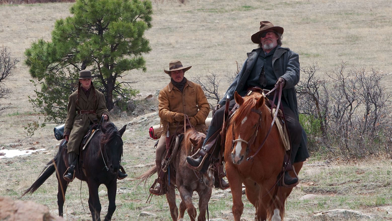 Toulouse. True Grit, Parfum de femme, Wallace et Gromit…le programme du ...