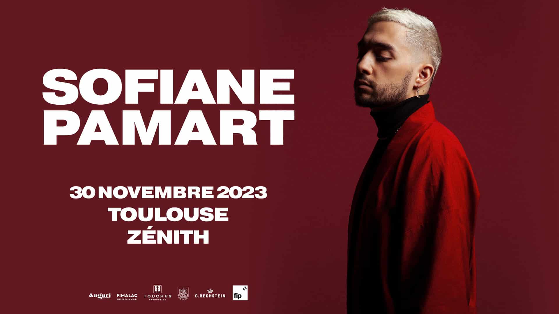 Sofiane Pamart au Zénith Toulouse ce jeudi ! - Toulouseblog.fr