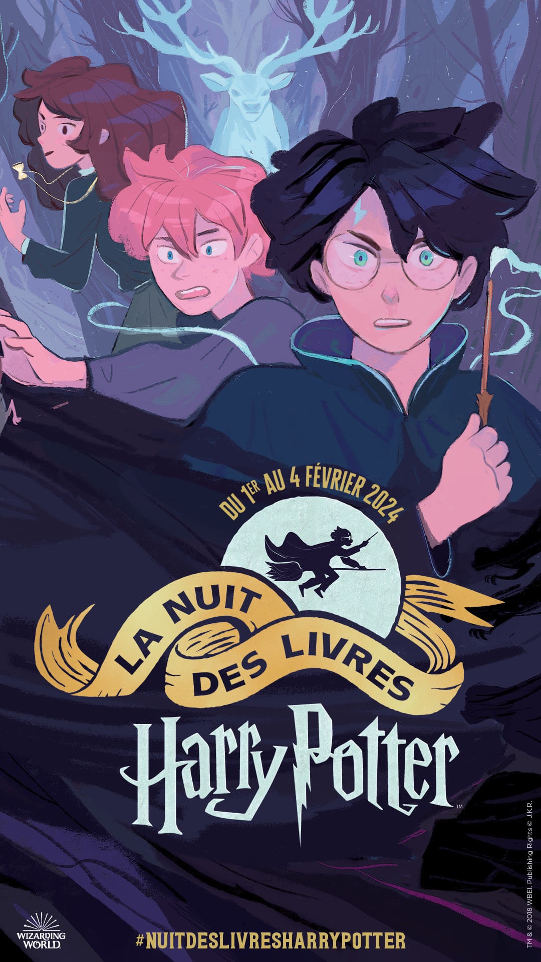 10e Nuit des Livres Harry Potter la semaine prochaine à Toulouse ...